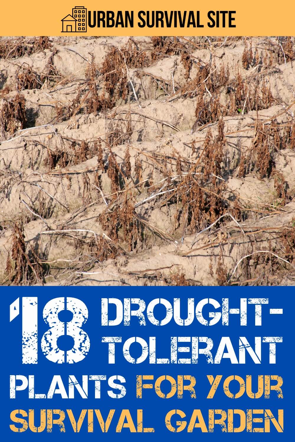 19 Drought-Tolerant Plants for Your Survival Garden - Power Puff Protection