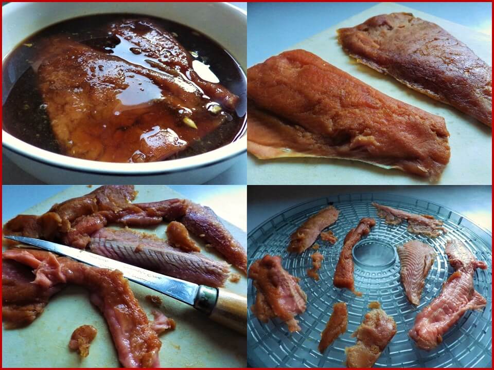 30 Best Foods to Dehydrate - Power Puff Protection