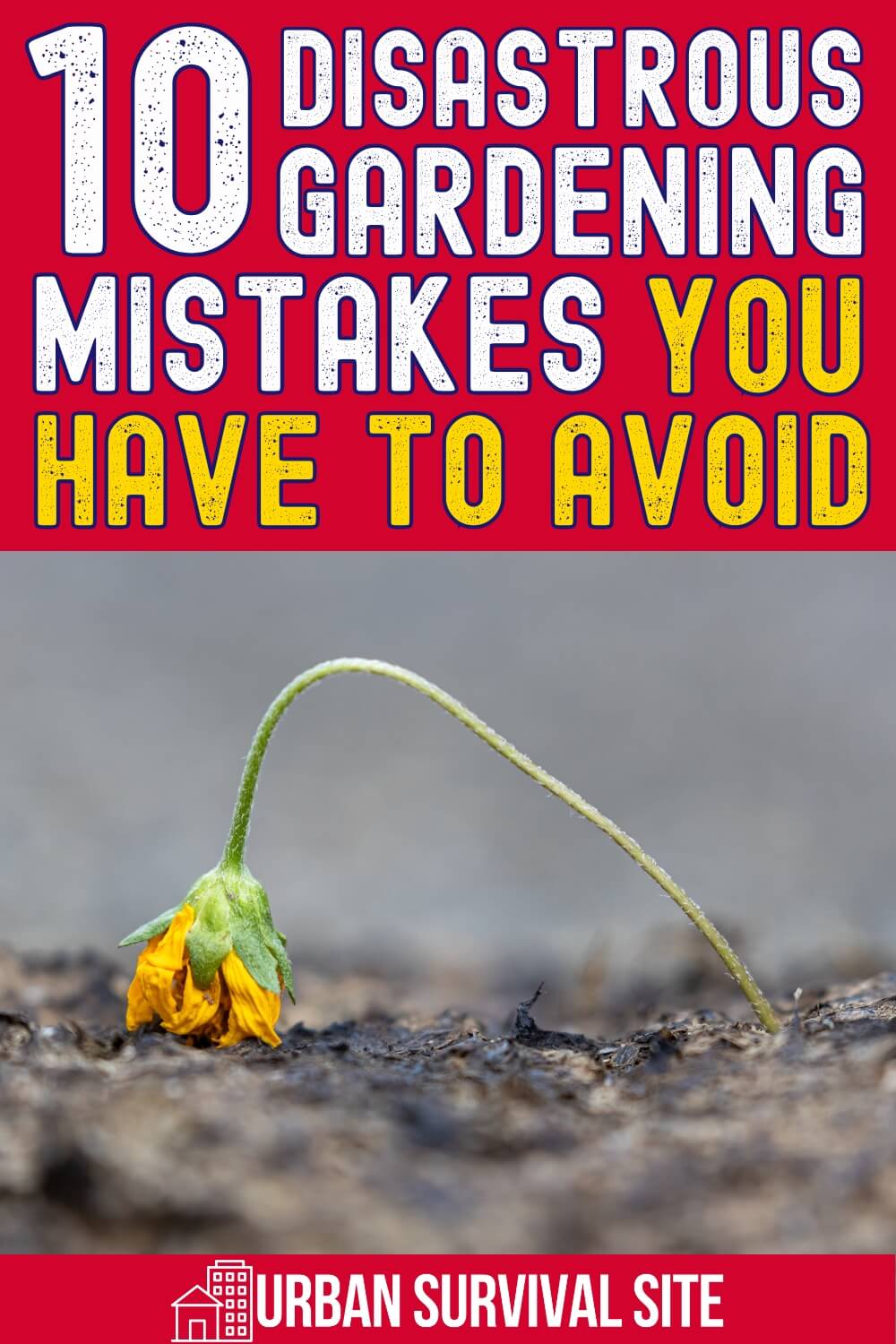 10 Disastrous Gardening Mistakes You Have To Avoid