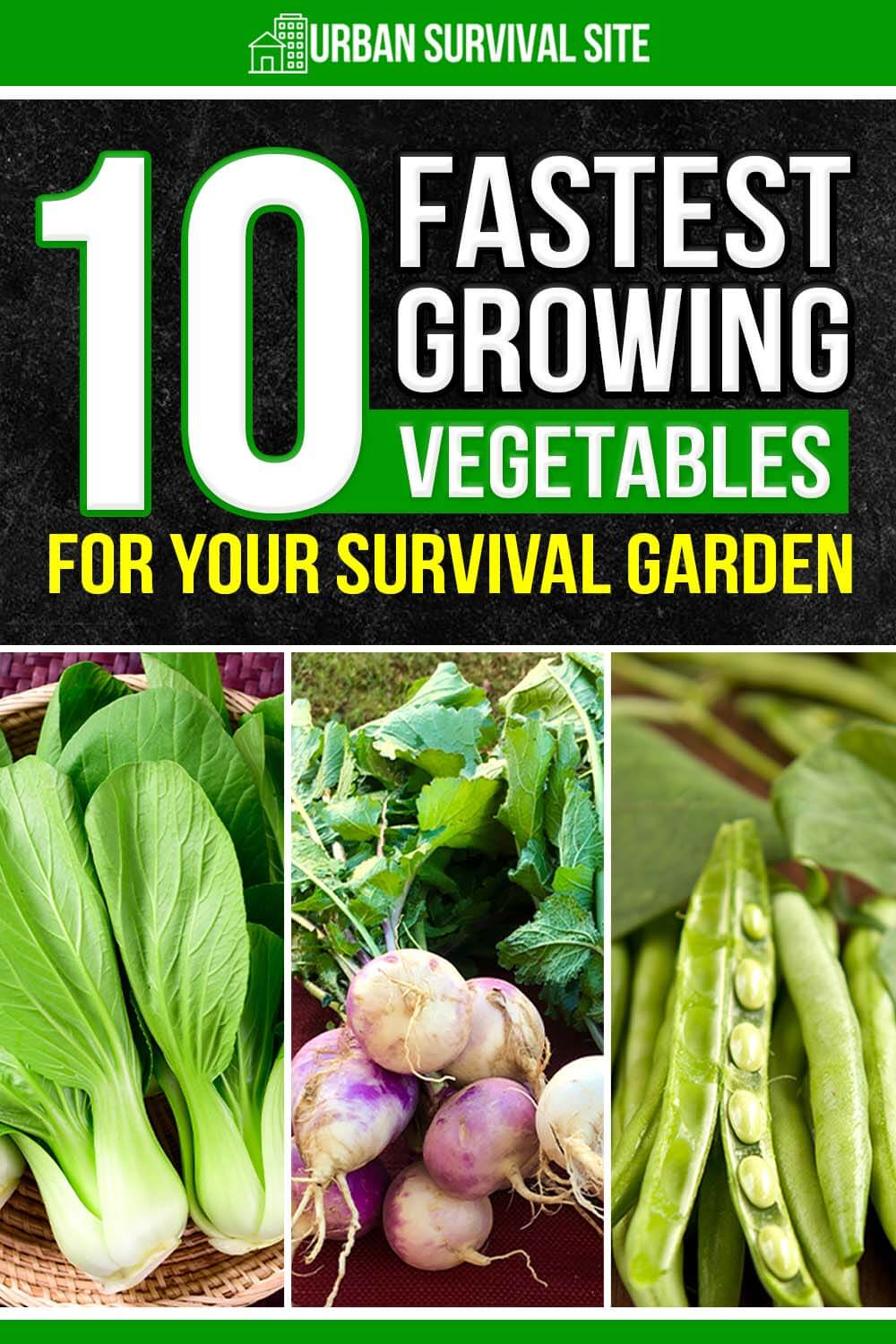 10 Fastest Growing Vegetables for Your Survival Garden