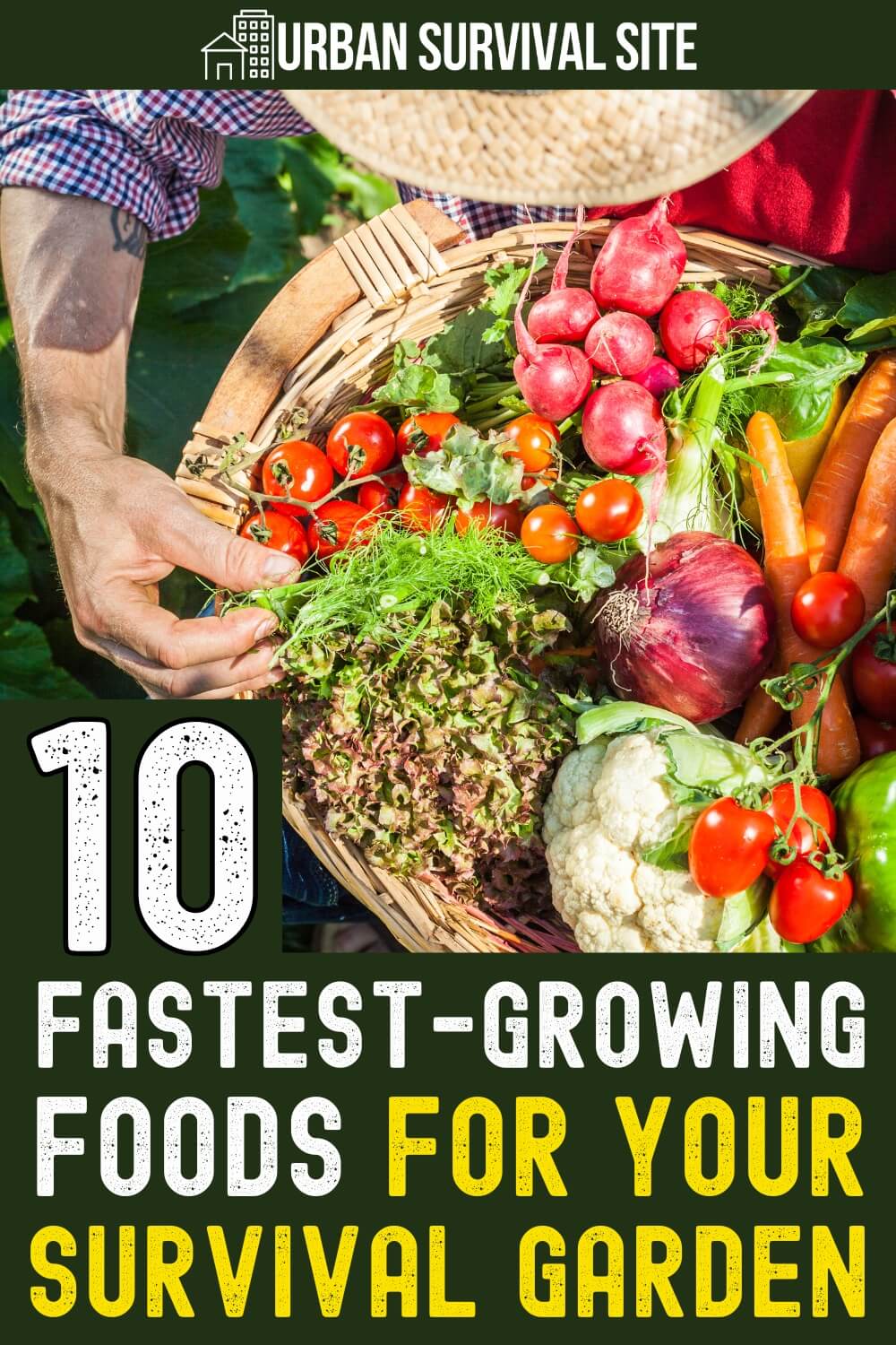 10 Fastest-Growing Foods for Your Survival Garden