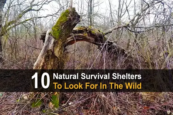 10 Natural Survival Shelters To Look For In The Wild