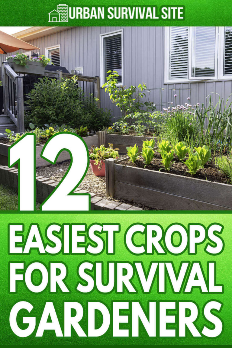 12 Easiest Crops for Survival Gardeners | Urban Survival Site