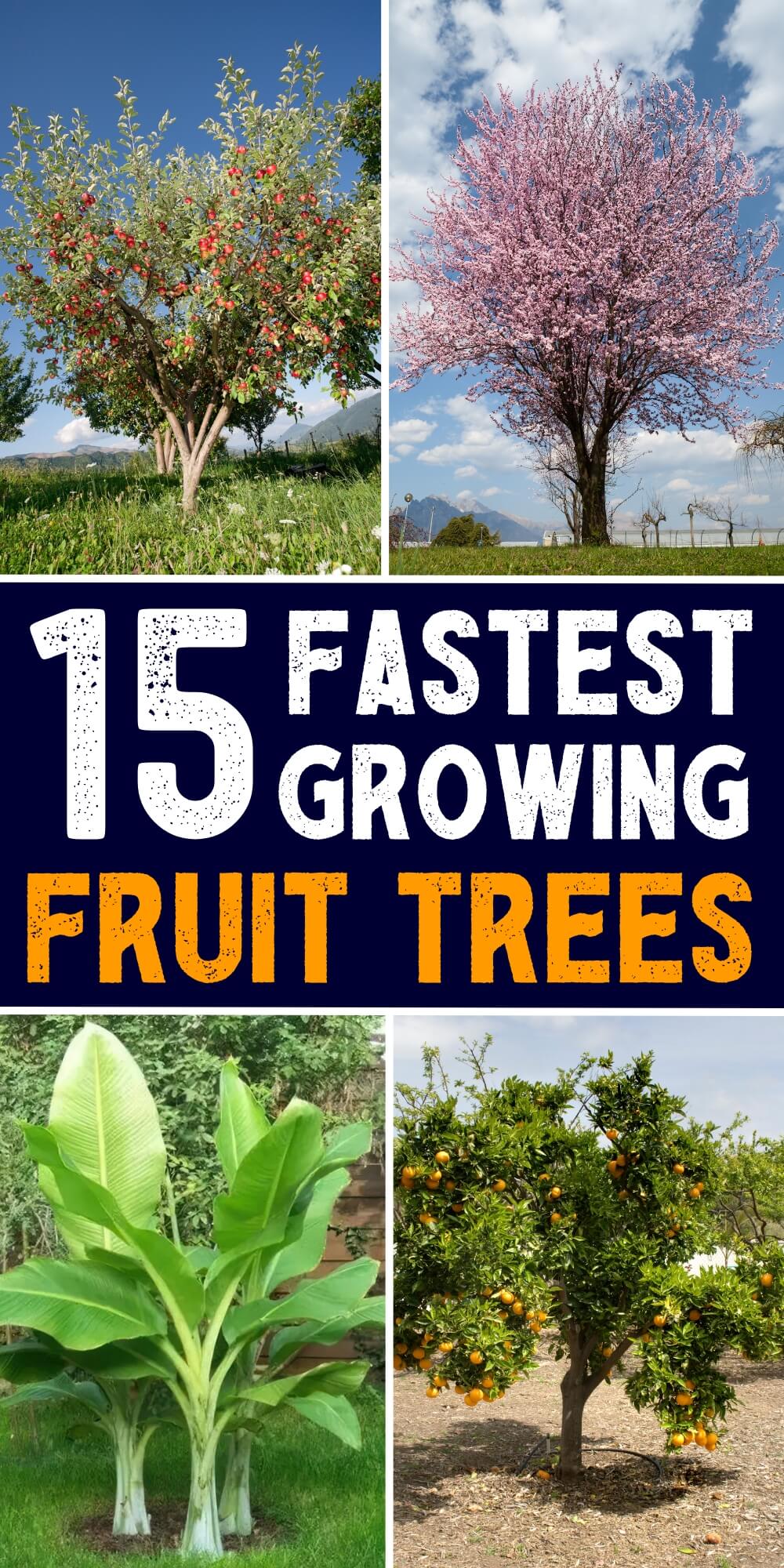 15 Fastest-Growing Fruit Trees