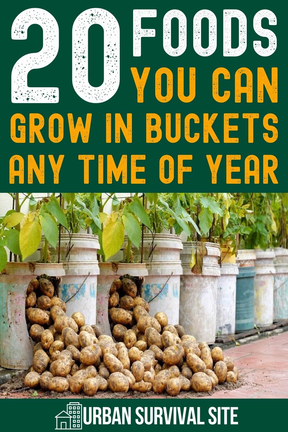 20 Foods You Can Grow In Buckets Any Time Of Year