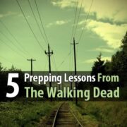 5 Survival Lessons from the Zombie Apocalypse