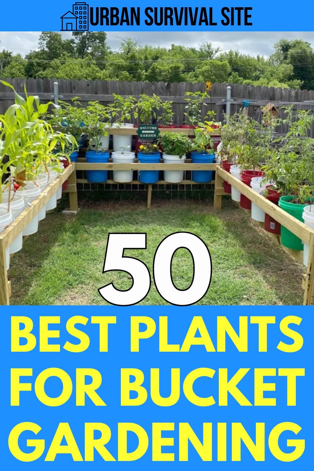50 Best Plants for Bucket Gardening