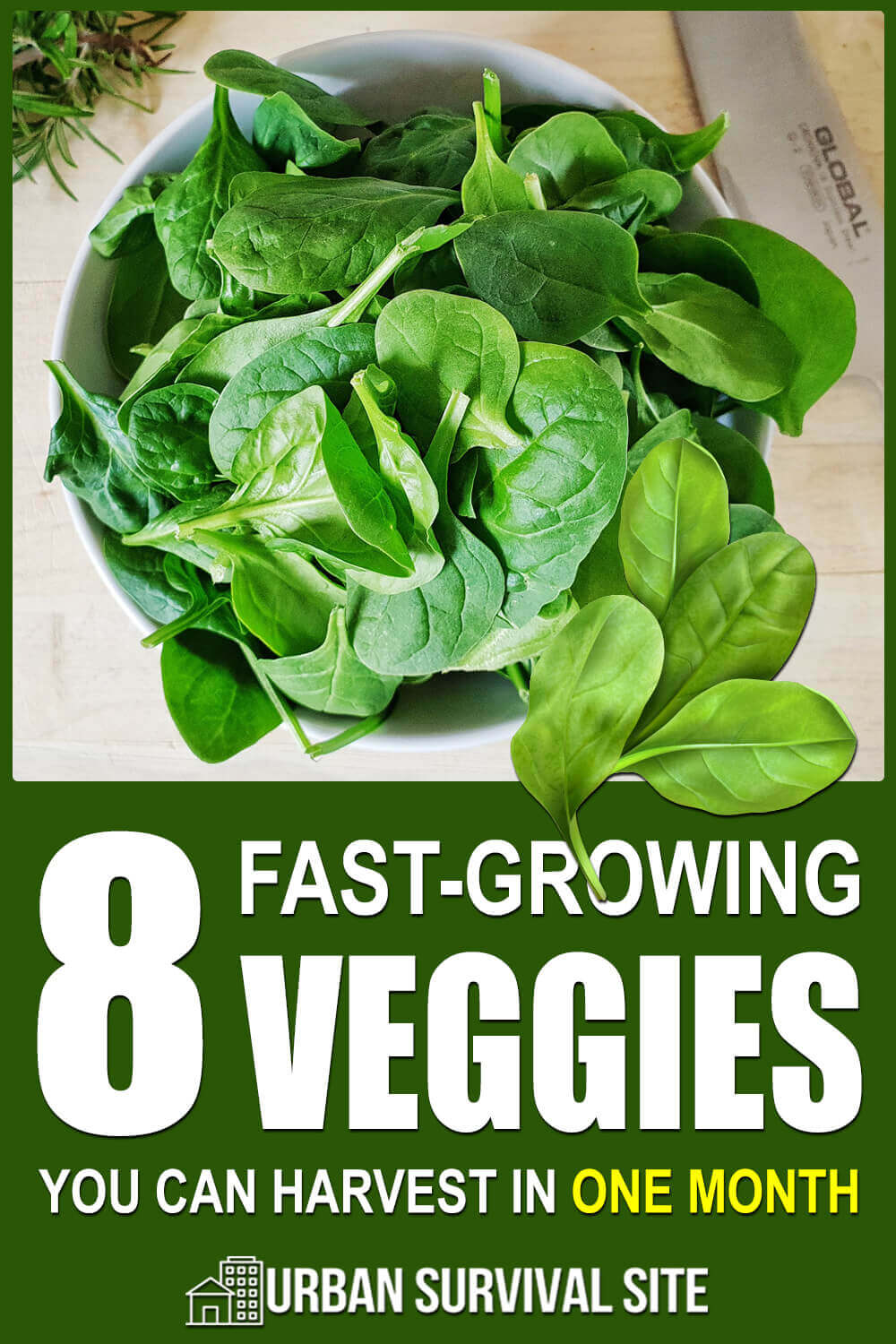 8 Fast-Growing Veggies You Can Harvest In One Month