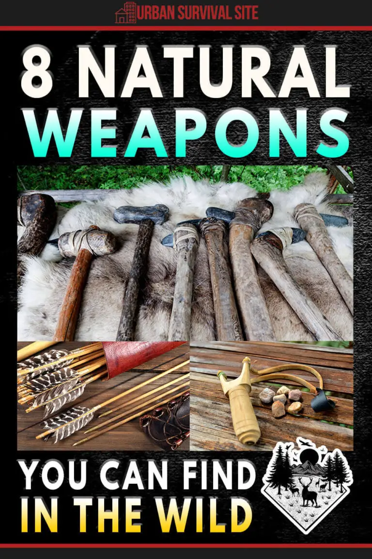 8 Natural Weapons You Can Find In The Wild | Urban Survival Site