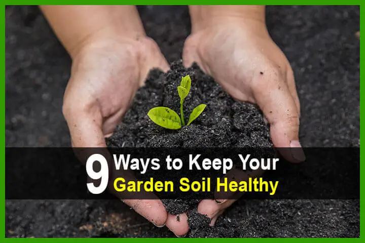 9 Ways to Keep Your Garden Soil Healthy