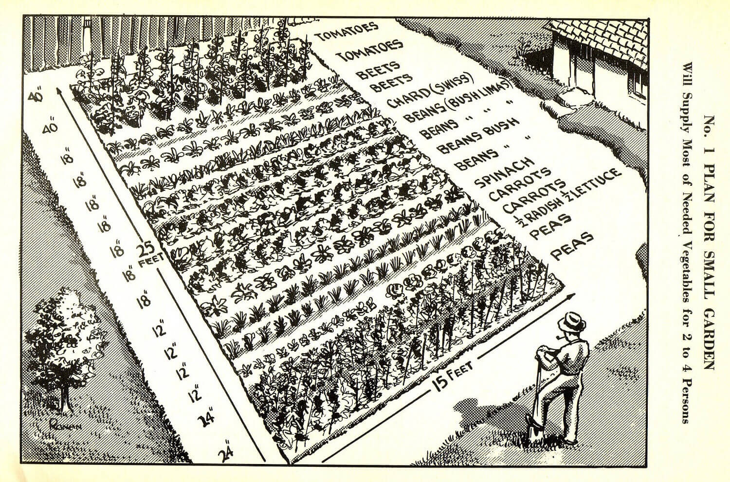 Why You Should Plant a Victory Garden | Urban Survival Site