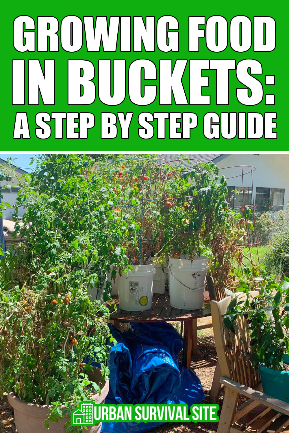 Growing Food in Buckets: A Step by Step Guide | Urban Survival Site