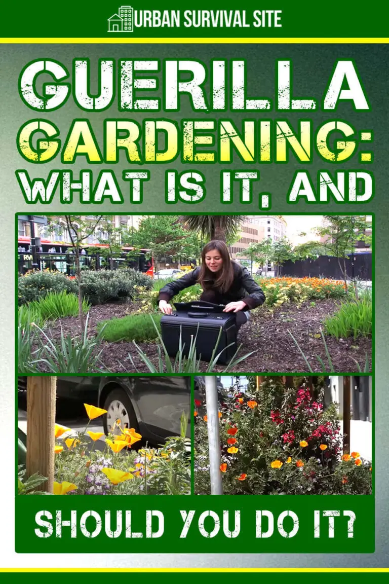 Guerilla Gardening: What Is It, and Should You Do It?