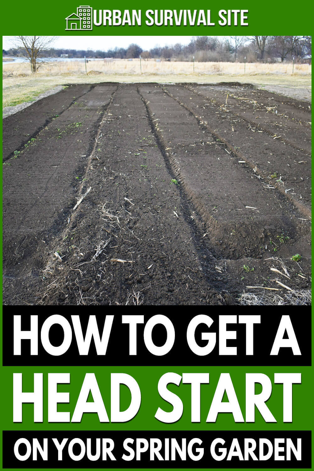 How To Get a Head Start On Your Spring Garden