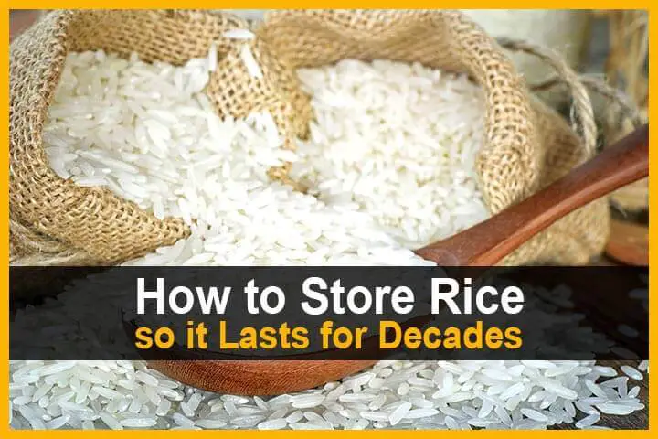 How to Store Rice so it Lasts for Decades