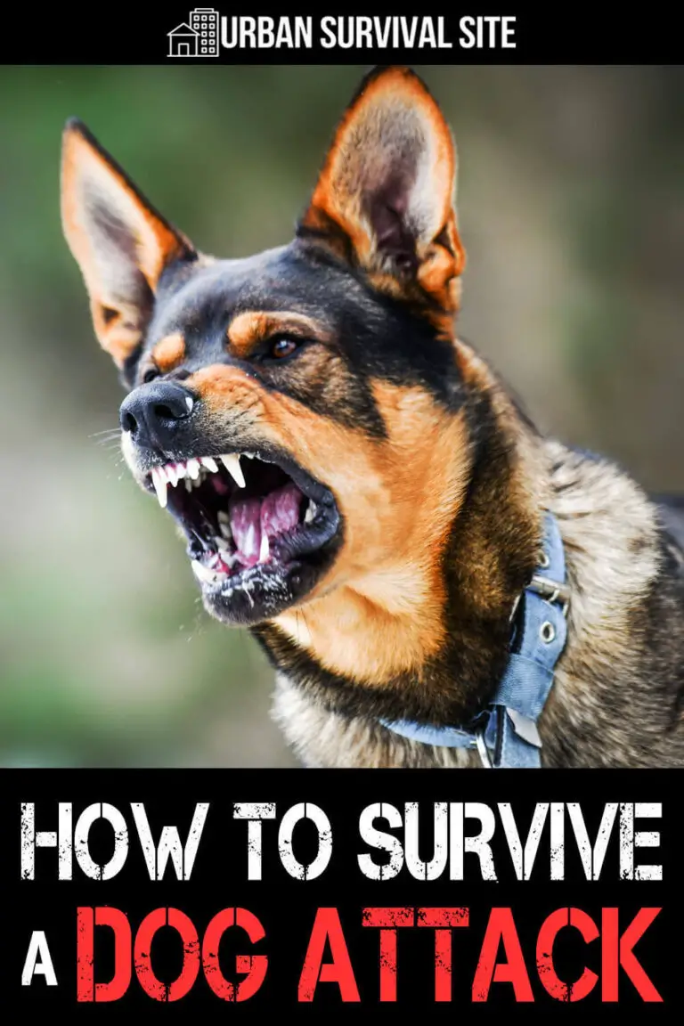 How To Survive A Dog Attack | Urban Survival Site