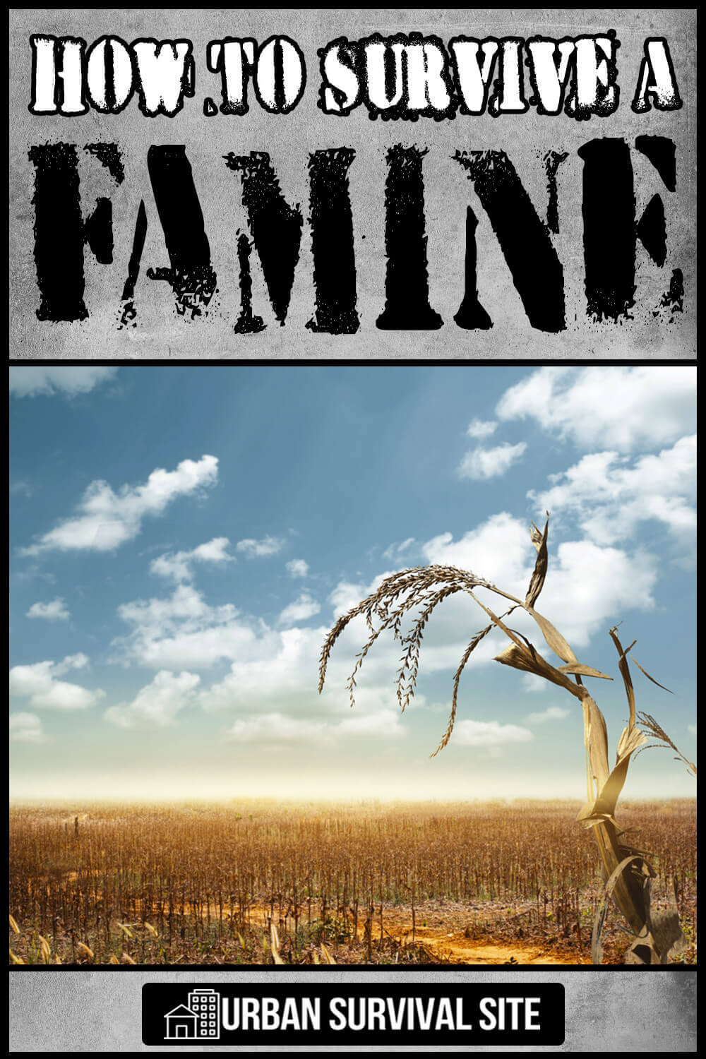 How to Survive a Famine | Urban Survival Site