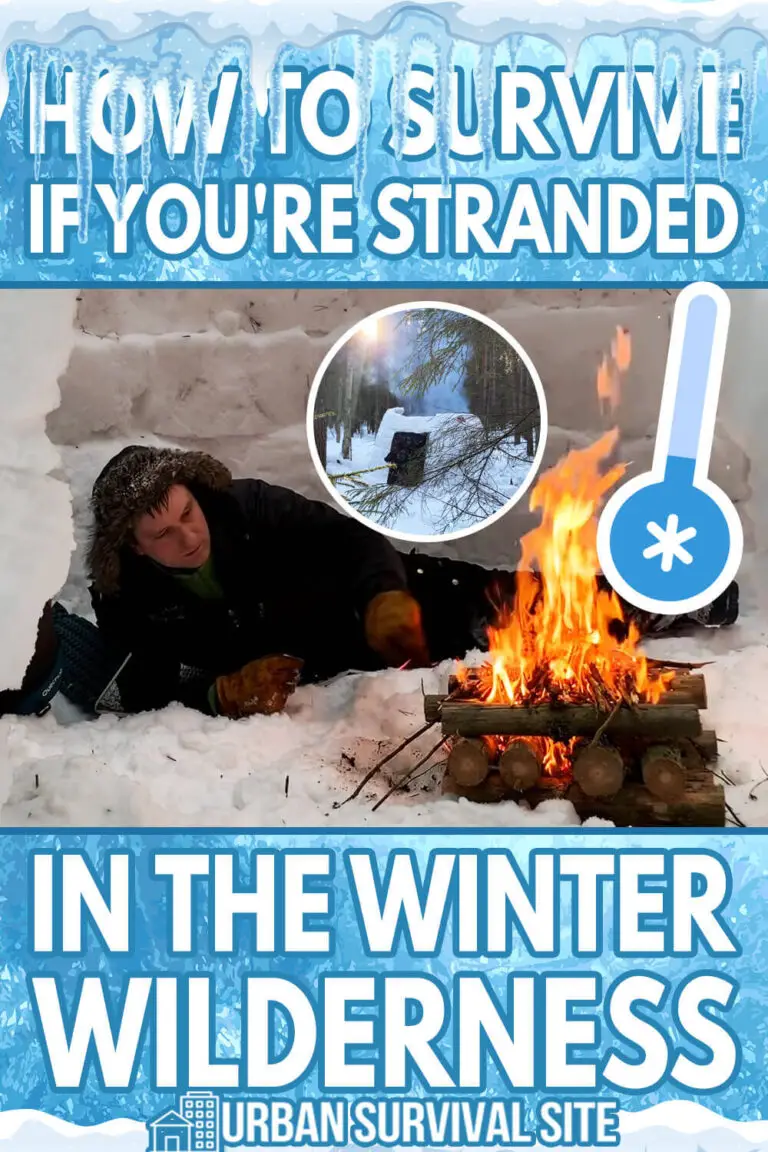 How to Survive If You're Stranded in the Winter Wilderness