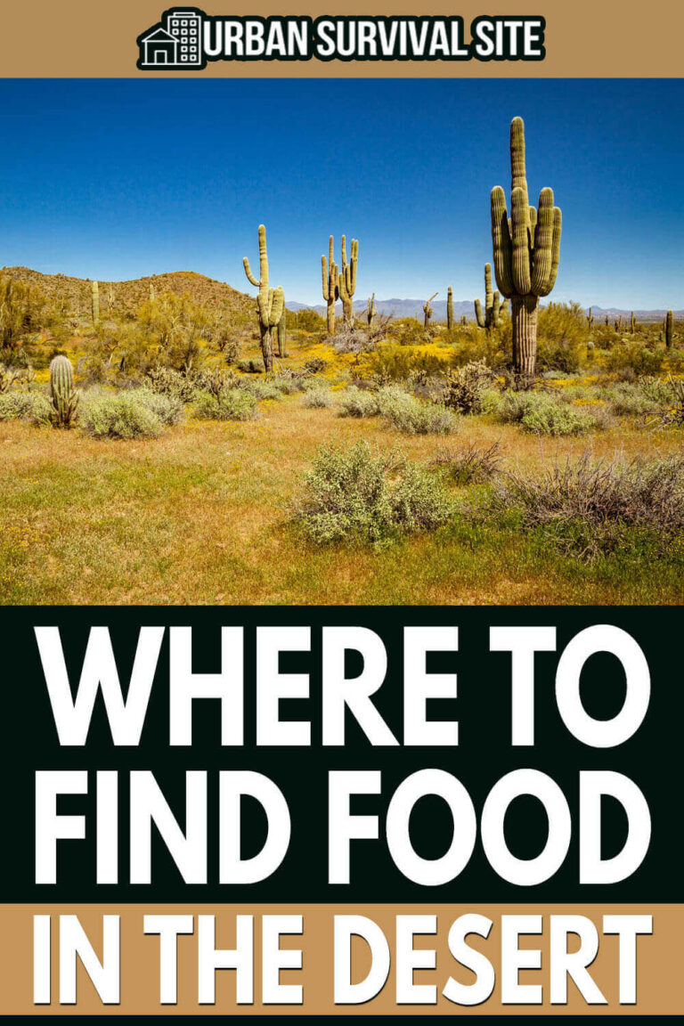 Where To Find Food In The Desert | Urban Survival Site
